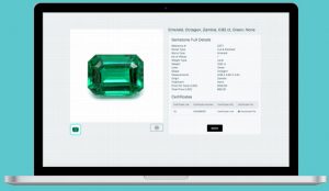 Gemstone Vendor Software Features | Gemstone All In One Software