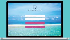 Gemstone Vendor Software Features | Gemstone All In One Software